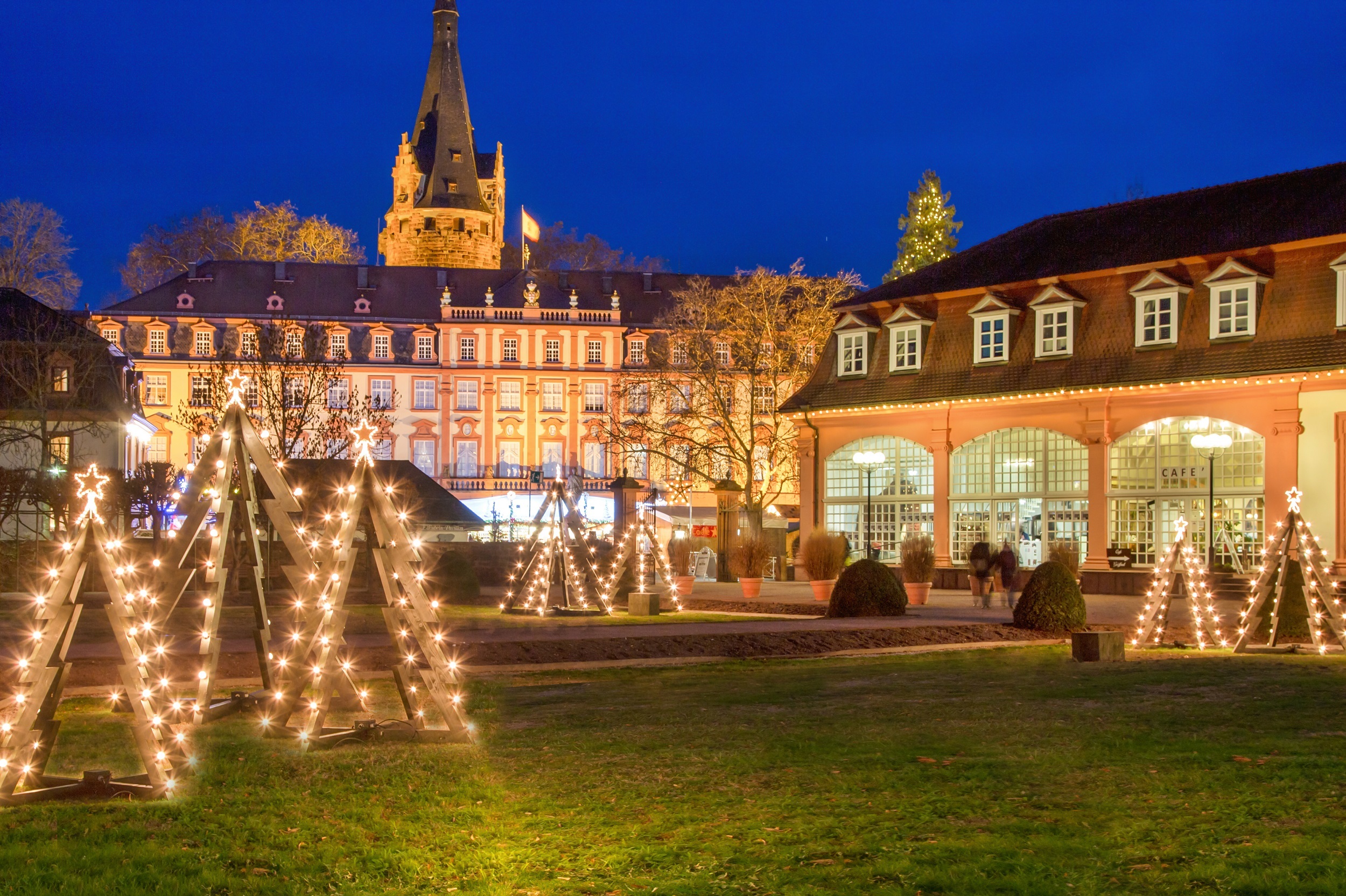 Startseite | Startseite